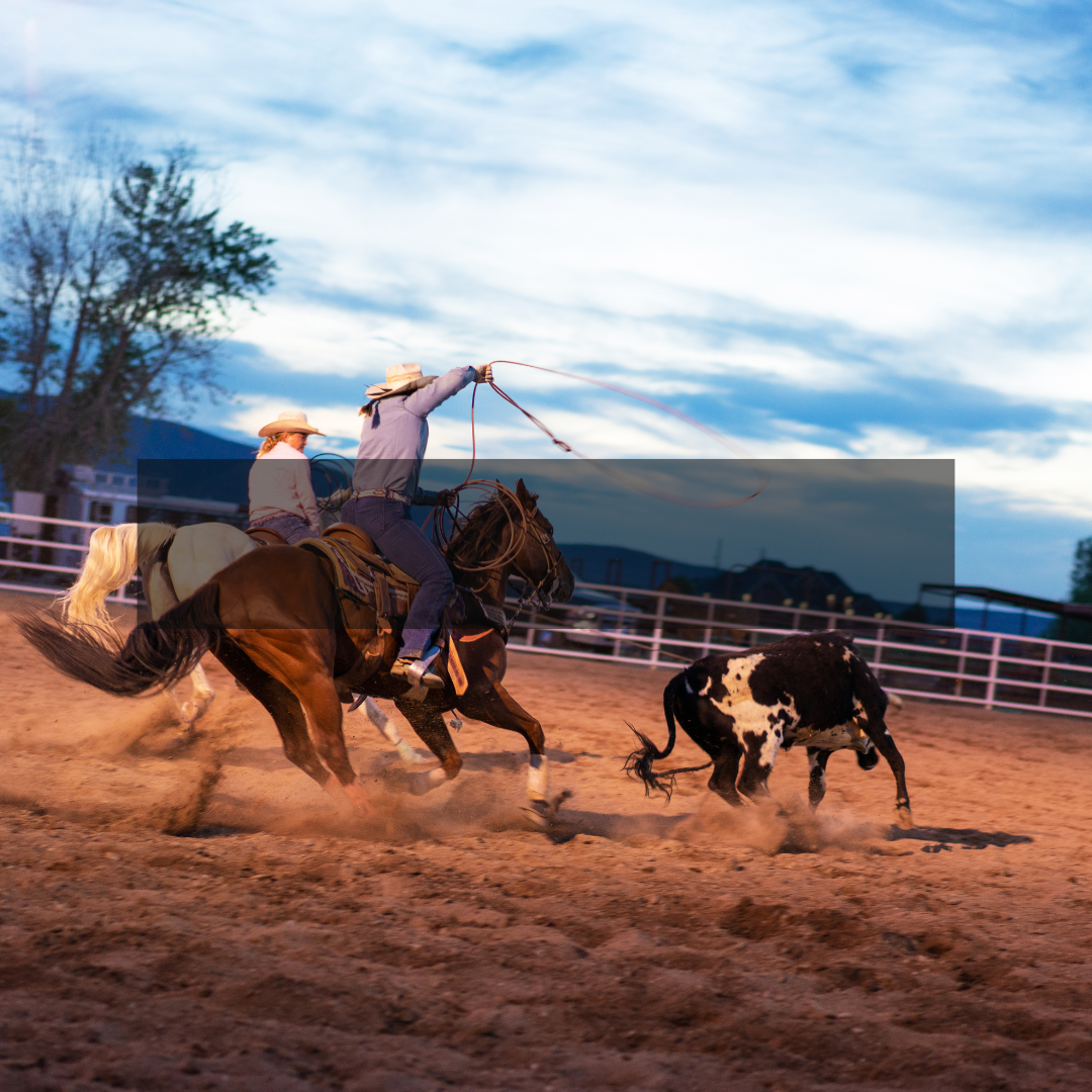 Women's Team Roping Association